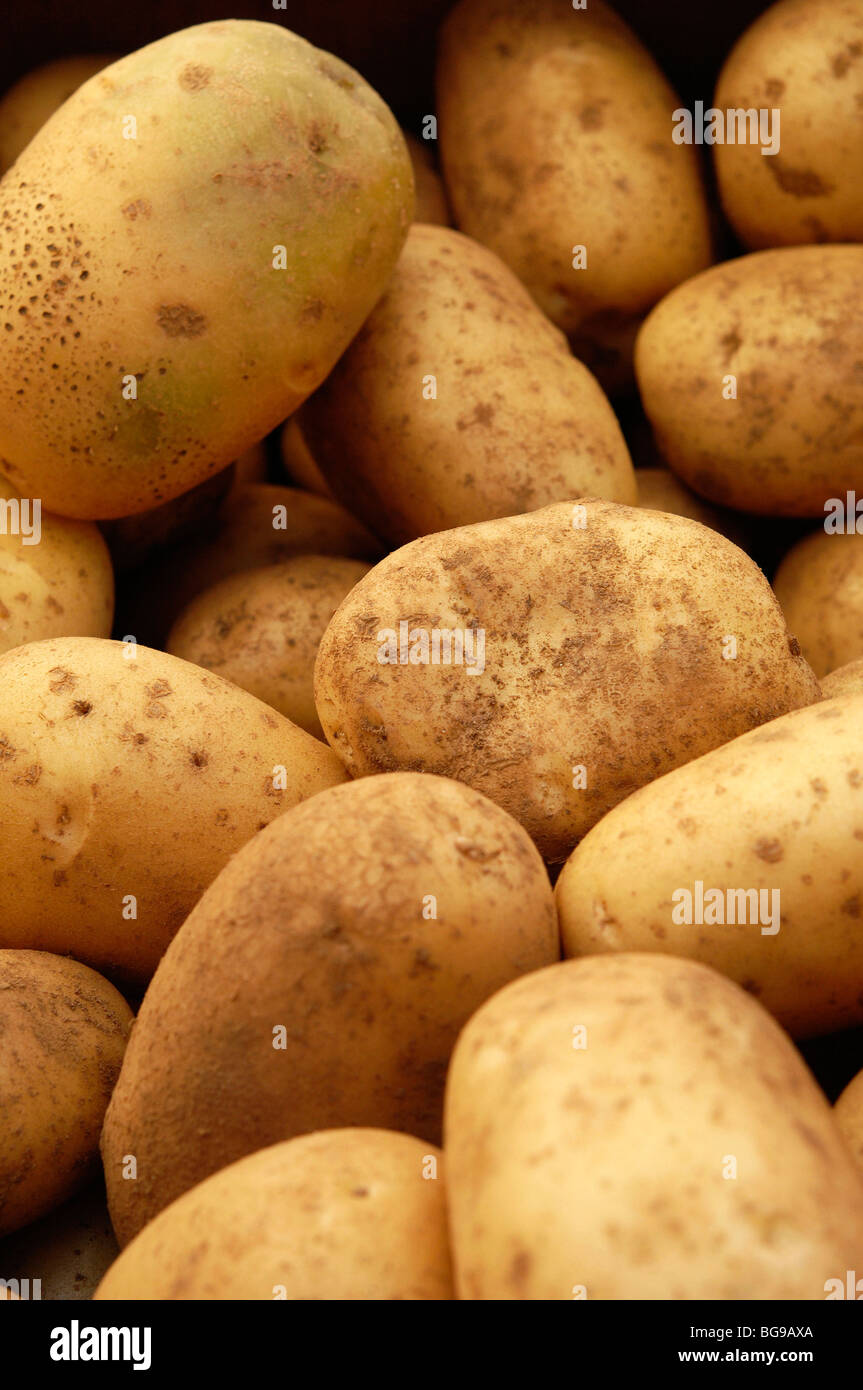 Potatoportrait hi-res stock photography and images - Alamy