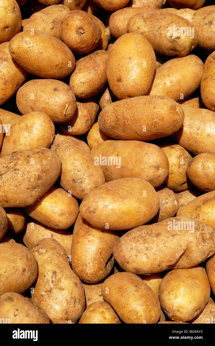 Potatoportrait hi-res stock photography and images - Alamy