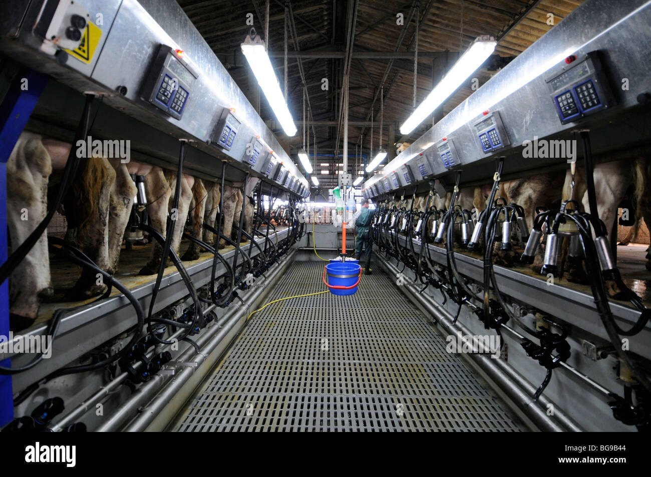 Milk strike by the producers of the "GAEC des Aubiers" farmers ...