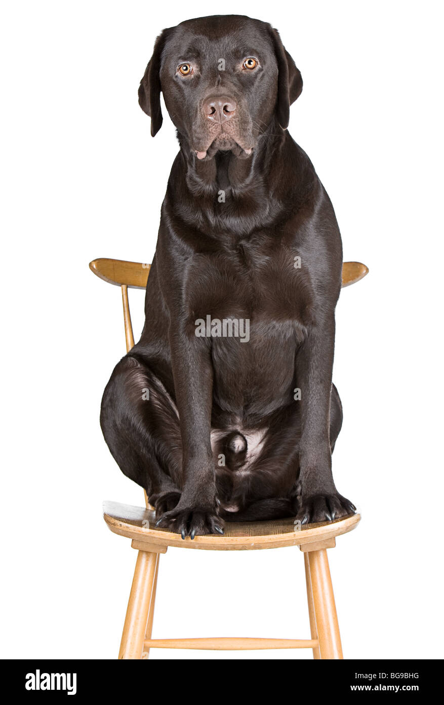 Sitting sat sit chair hi-res stock photography and images - Alamy