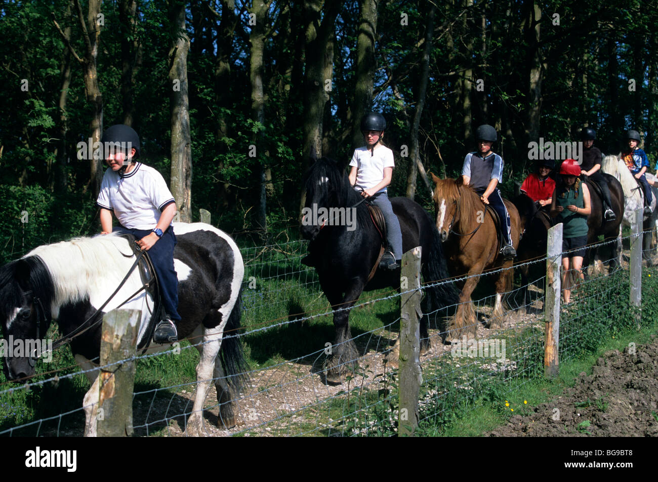 Group of horse riders on a trail Stock Photo - Alamy