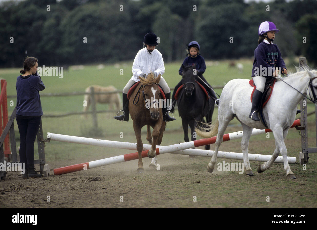 Horse riders in a riding school Stock Photo - Alamy