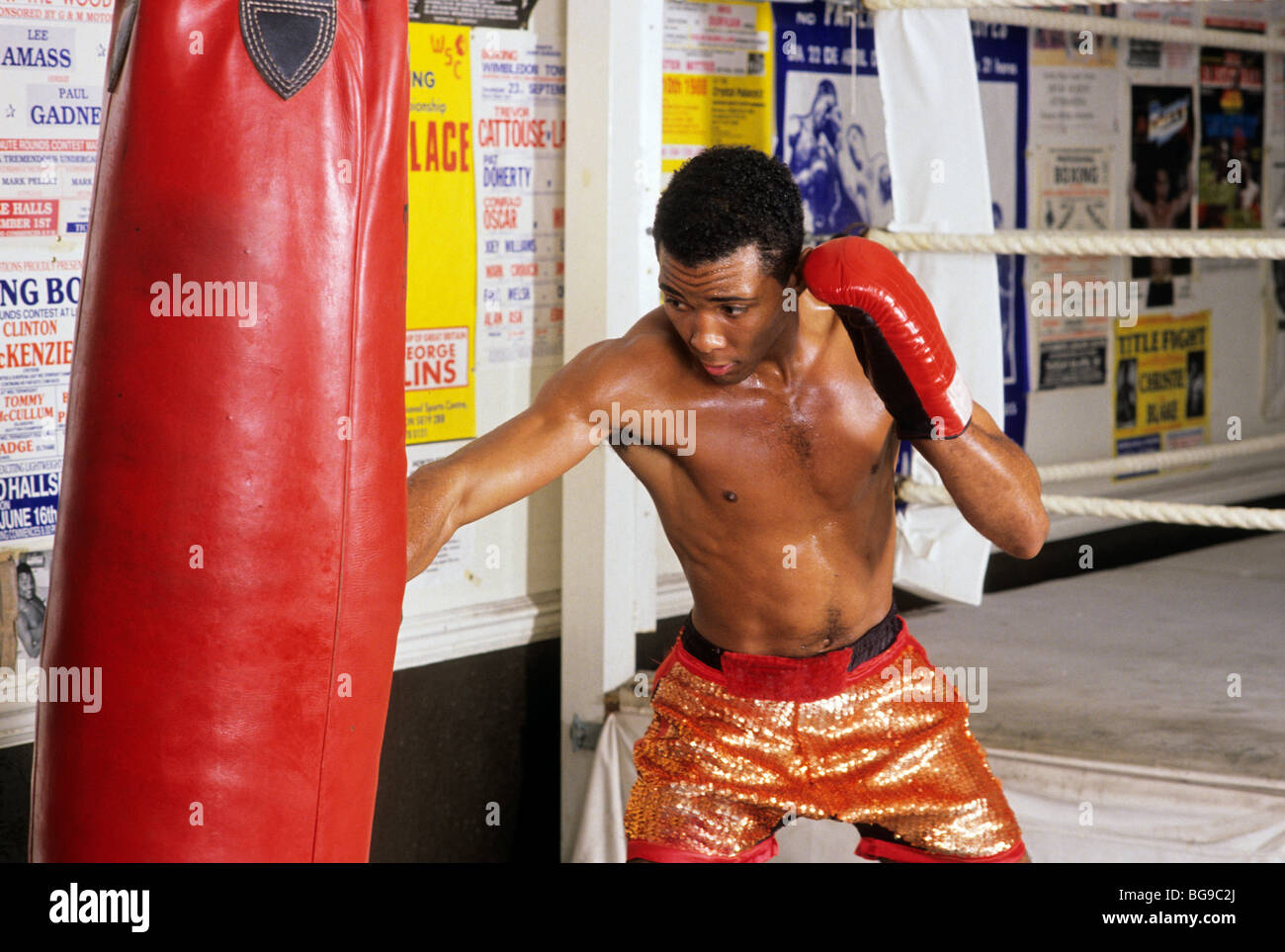Boxer working out with a punching bag in a gym Stock Photo - Alamy