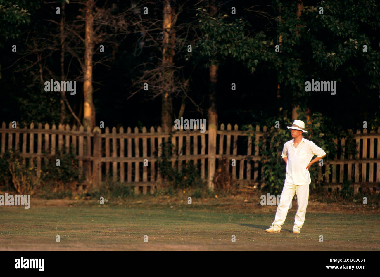 Cricketer waiting in the outfield Stock Photo - Alamy