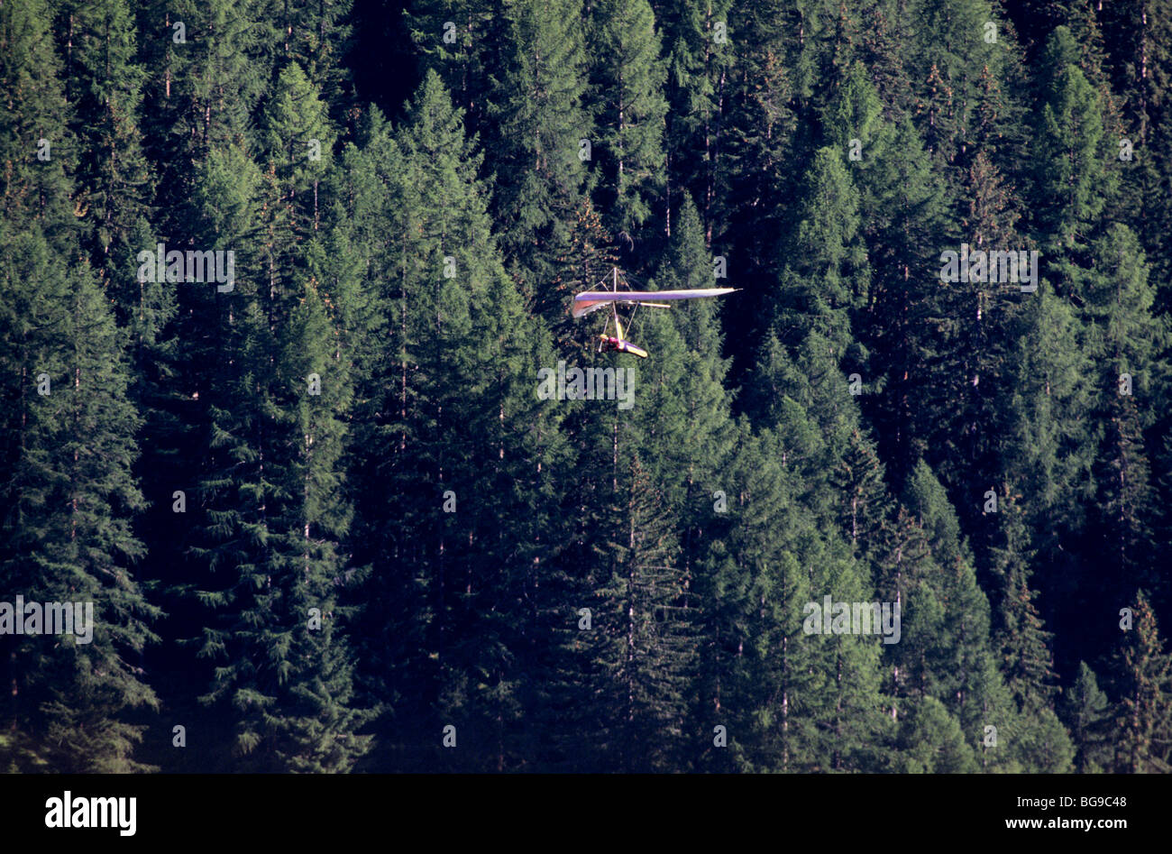 Hang gliding over forest Stock Photo - Alamy