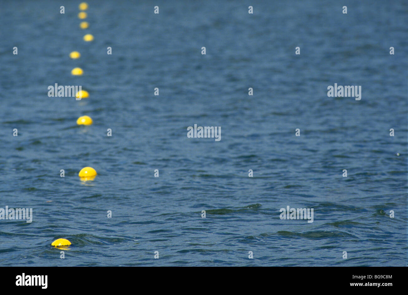 Row yellow buoys hi-res stock photography and images - Alamy