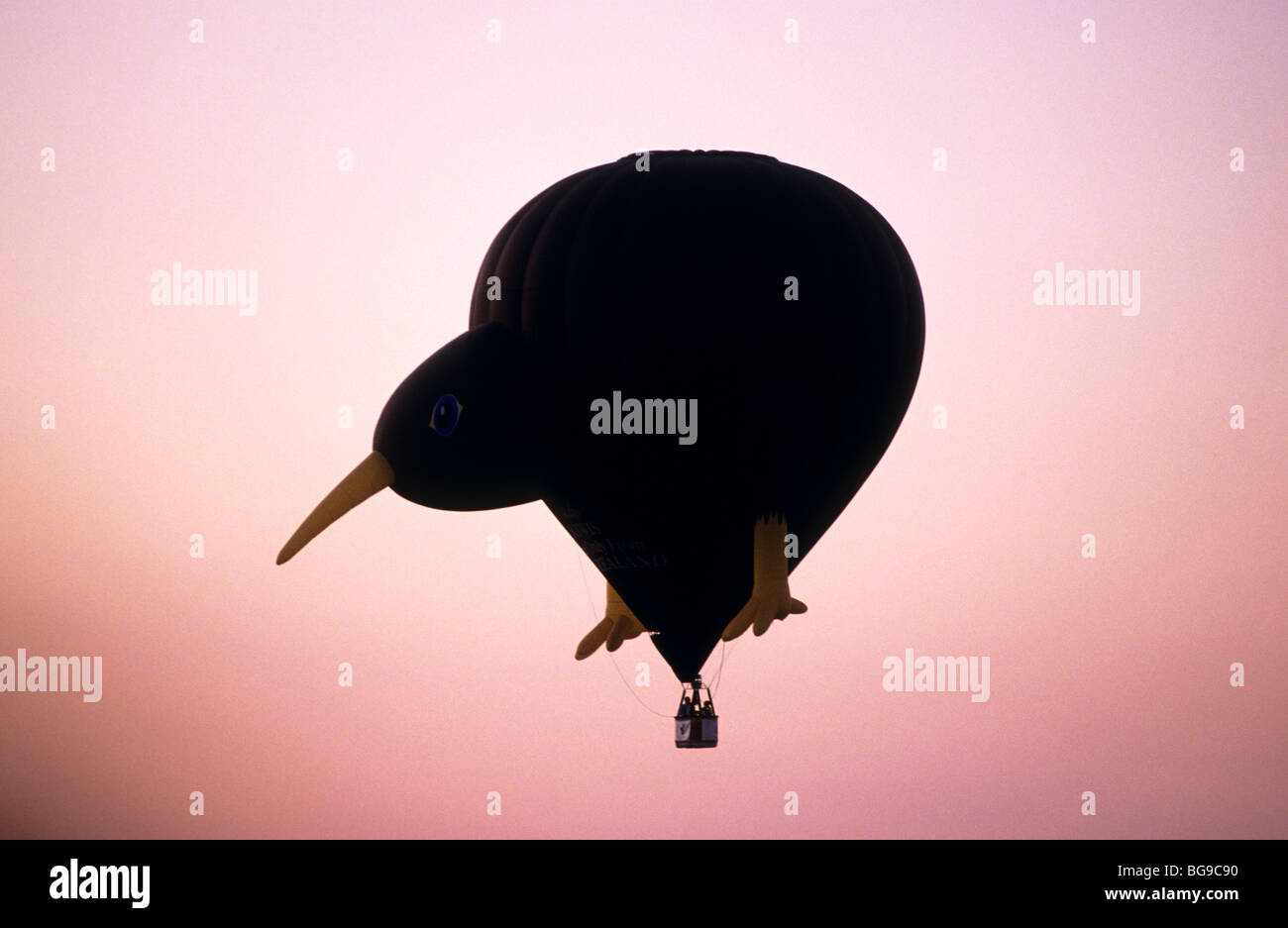 Crow shaped hot air balloon in flight Stock Photo - Alamy