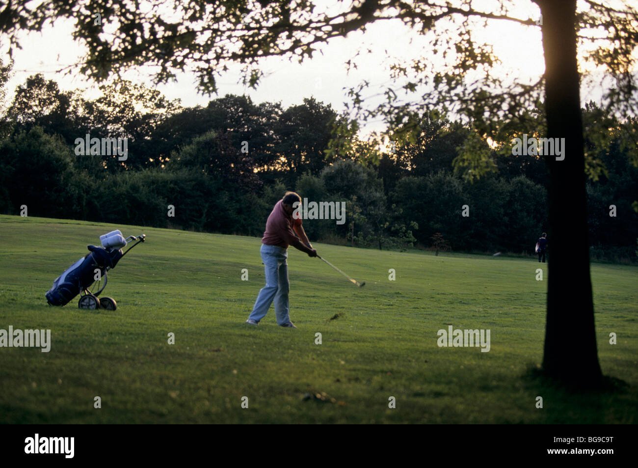 Golfer on a golf course Stock Photo - Alamy