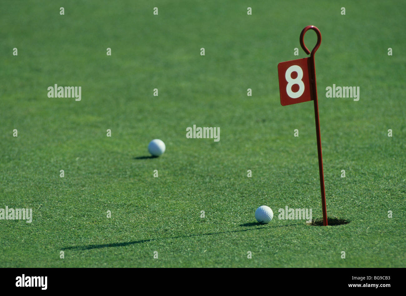 Golf balls by the eighth hole Stock Photo - Alamy