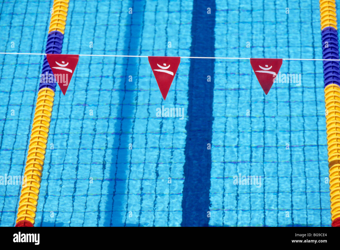 Olympic swimming pool Stock Photo - Alamy
