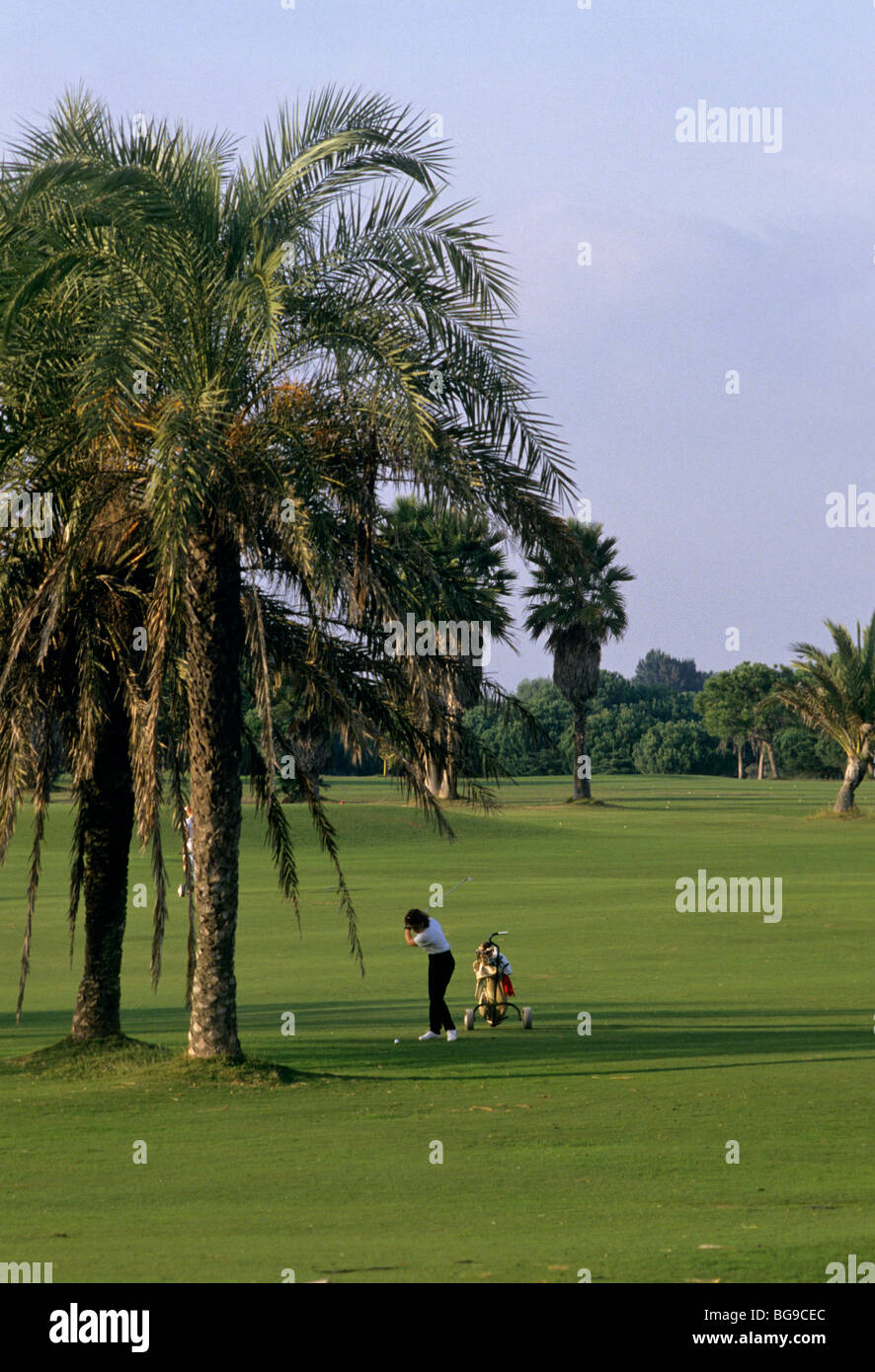 Woman golfer palm trees hi-res stock photography and images - Alamy
