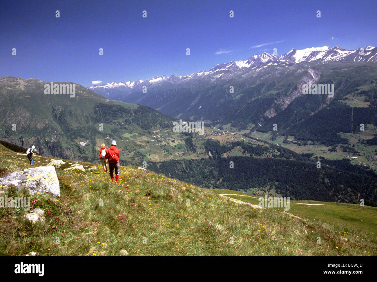 Three walkers walking through a mountain meadow Stock Photo - Alamy
