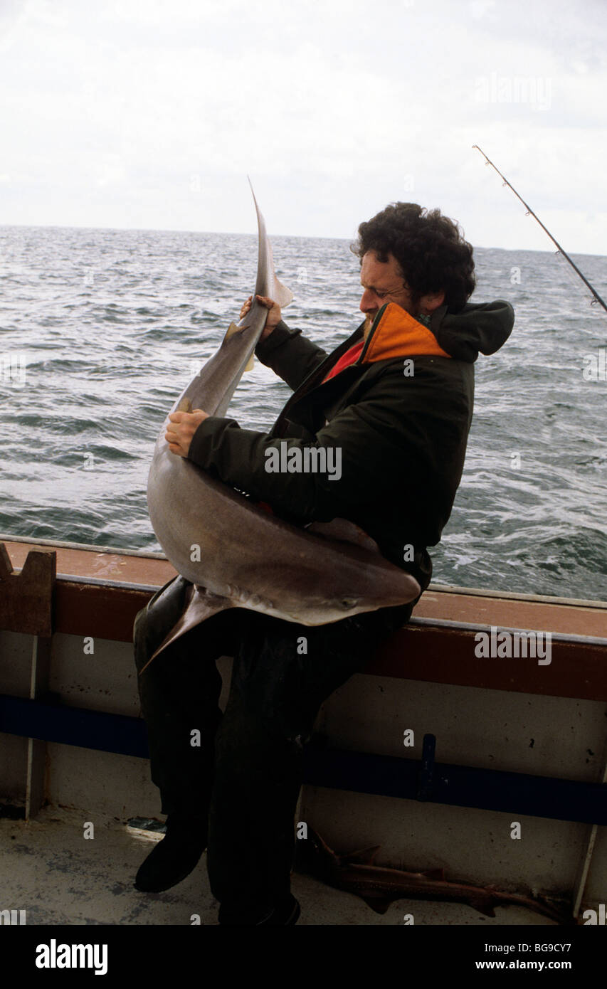 Man catches a small shark Stock Photo - Alamy