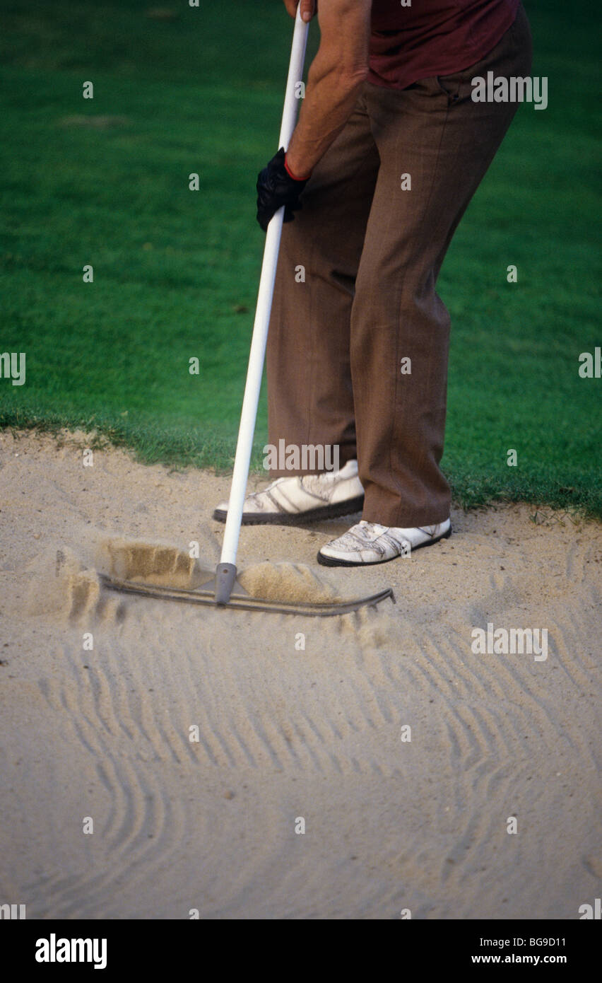 Caddy raking sand trap Stock Photo - Alamy