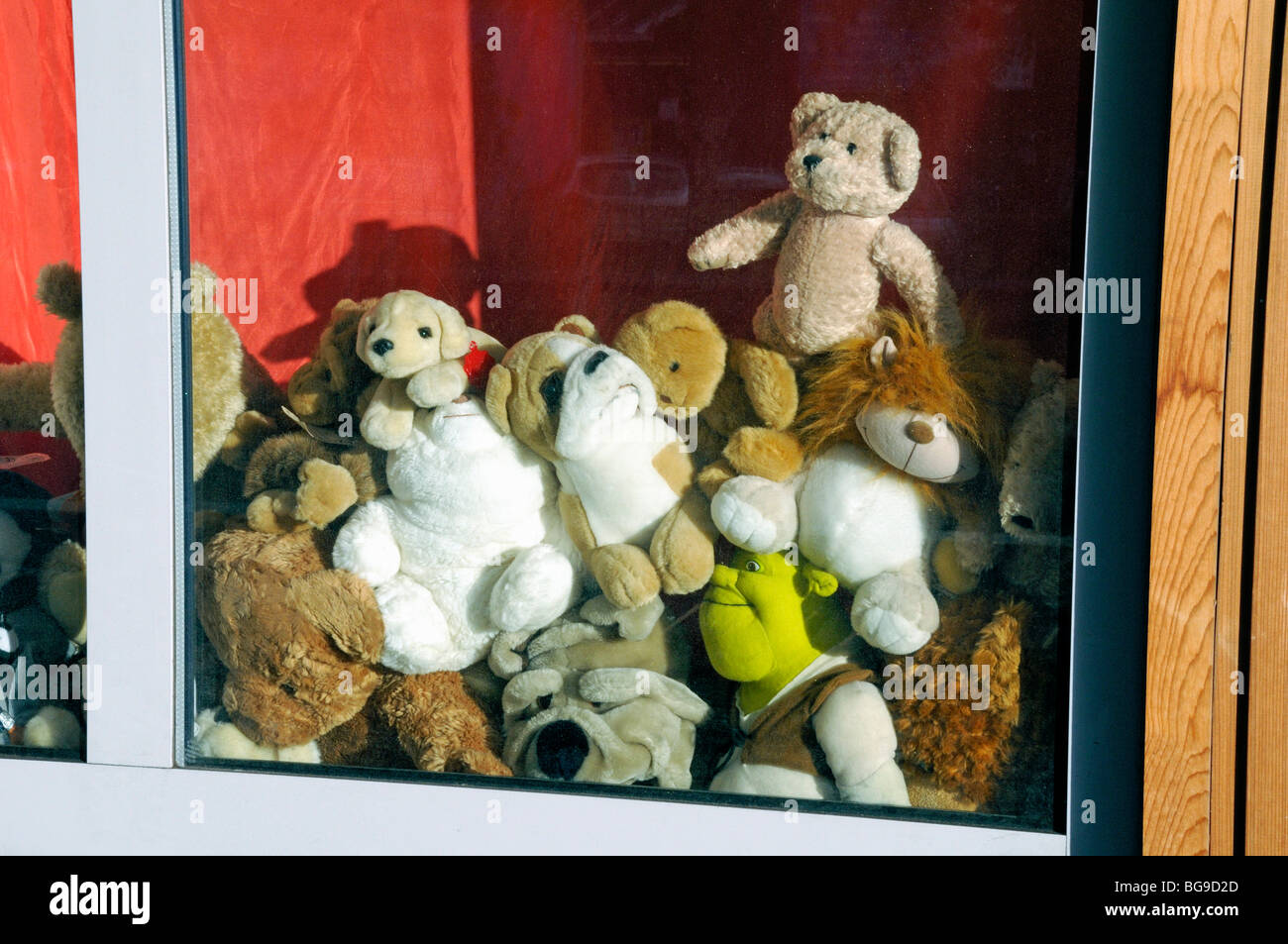 Soft toys in window Stock Photo - Alamy