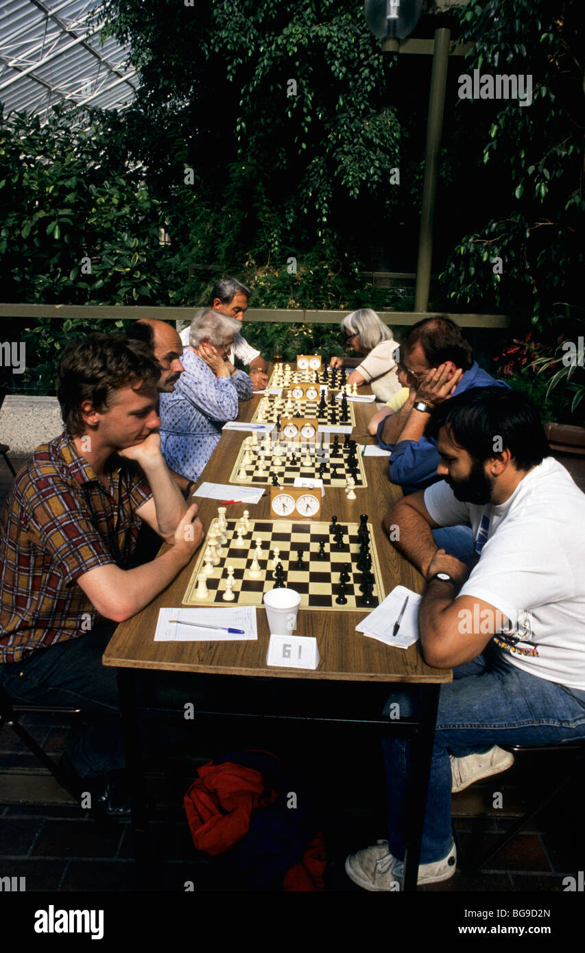 Four chess hi-res stock photography and images - Alamy