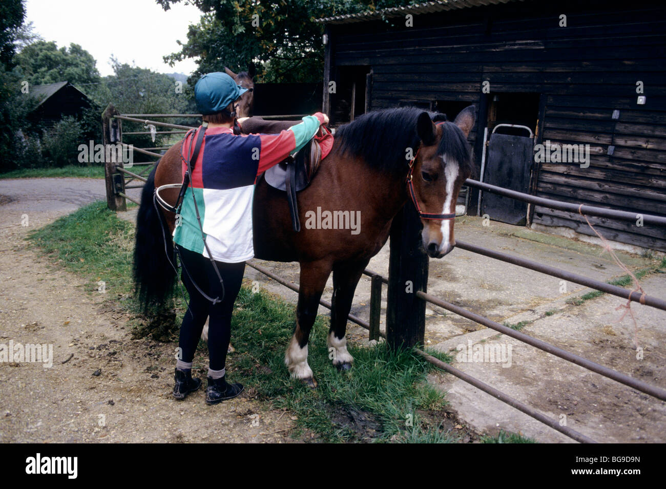 Horse rider attaching saddle on horse Stock Photo - Alamy