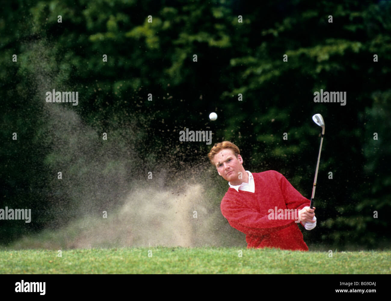 Golfer chips the ball out of the bunker Stock Photo - Alamy