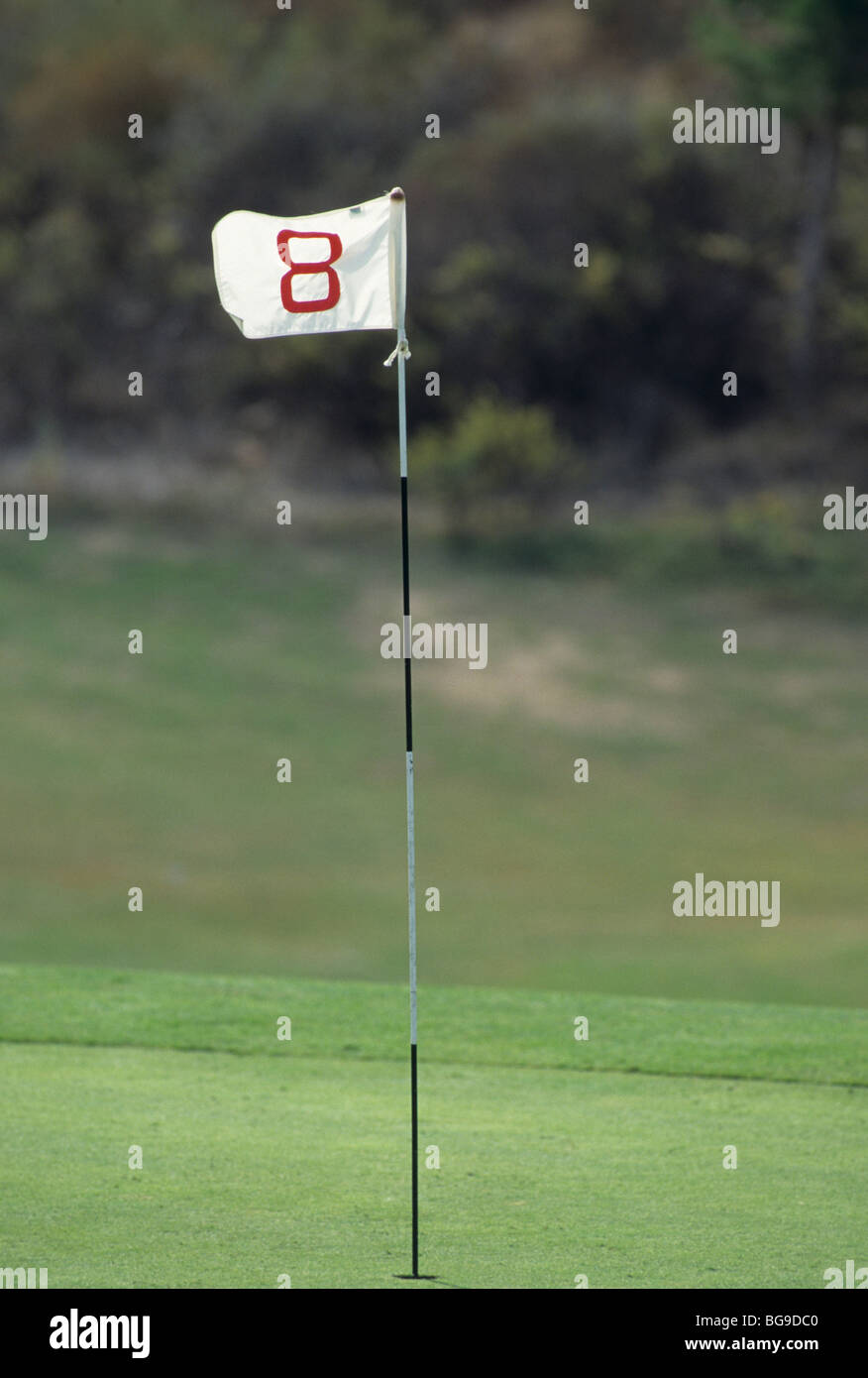 Golf flag on golf course Stock Photo - Alamy