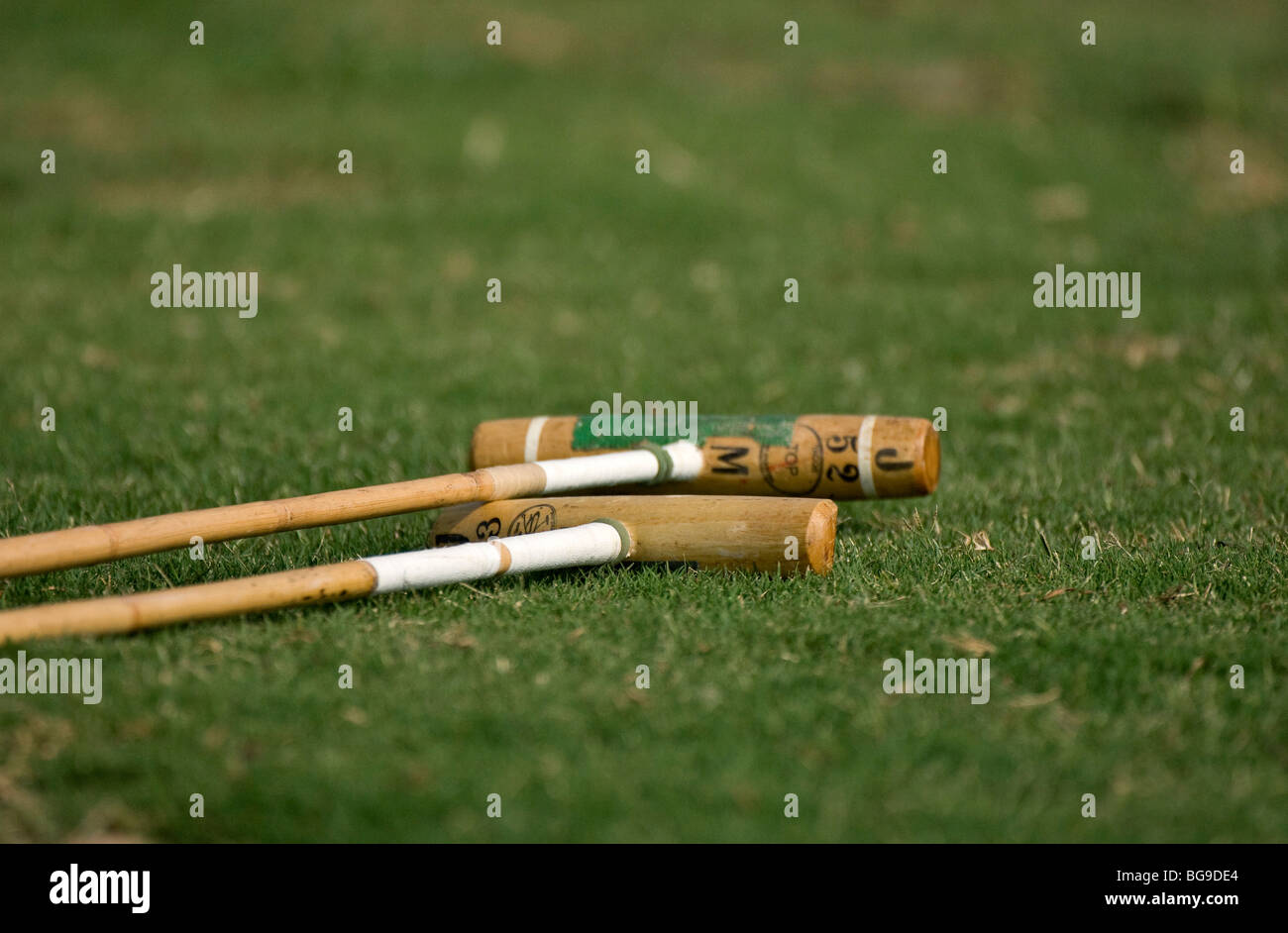 Two polo mallets Stock Photo - Alamy