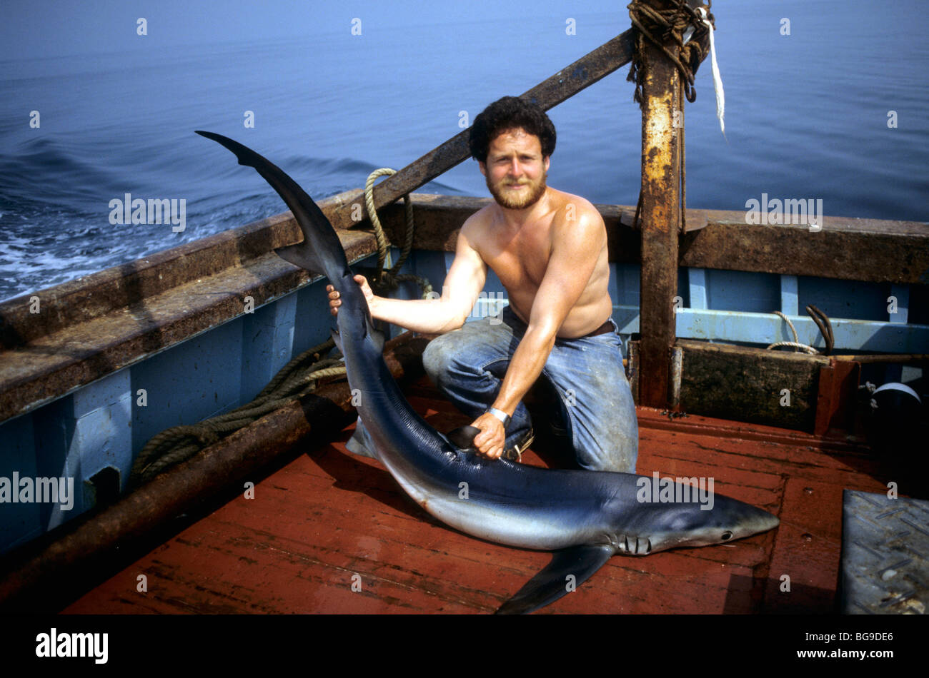 Man catches shark hi-res stock photography and images - Alamy
