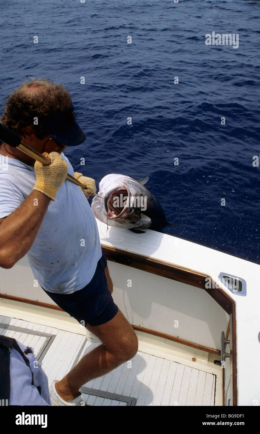 Man hauling a large fish onto his boat Stock Photo - Alamy