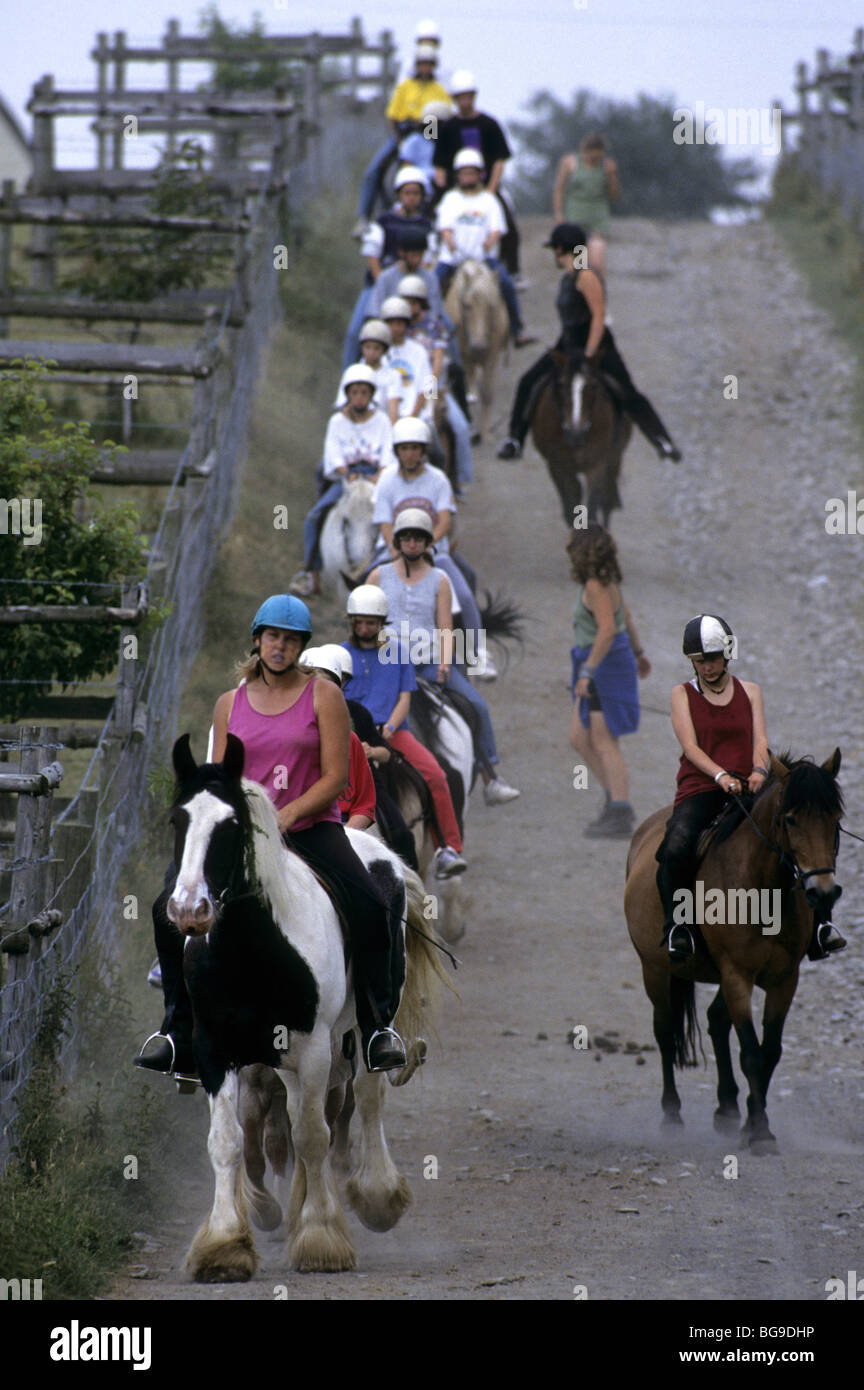 Group of horse riders on a trail Stock Photo - Alamy