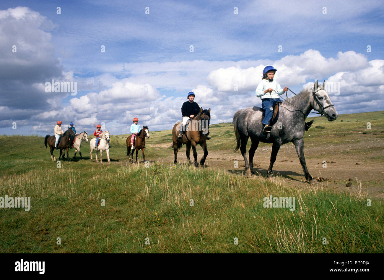 Group of six horses hi-res stock photography and images - Alamy