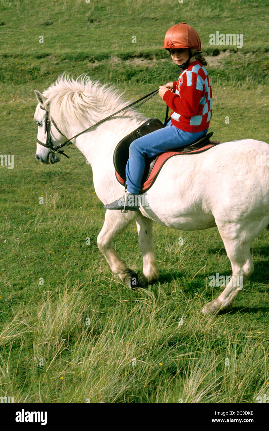 Young horse rider on her horse Stock Photo - Alamy