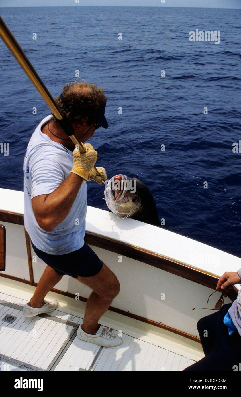 Man hauling a large fish onto his boat Stock Photo - Alamy