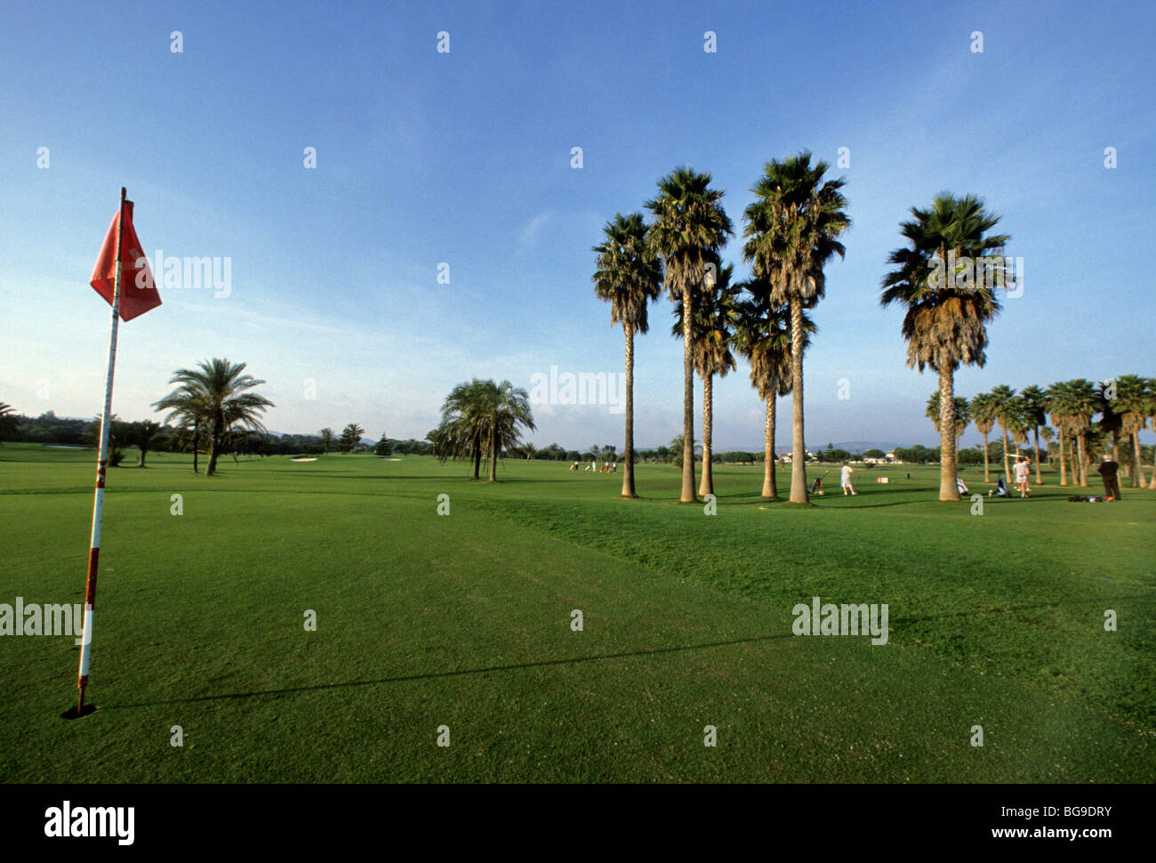 Golf course fairway Stock Photo - Alamy