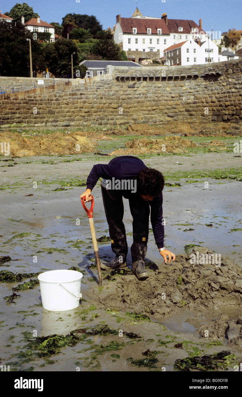 Bait digging beach hi-res stock photography and images - Alamy