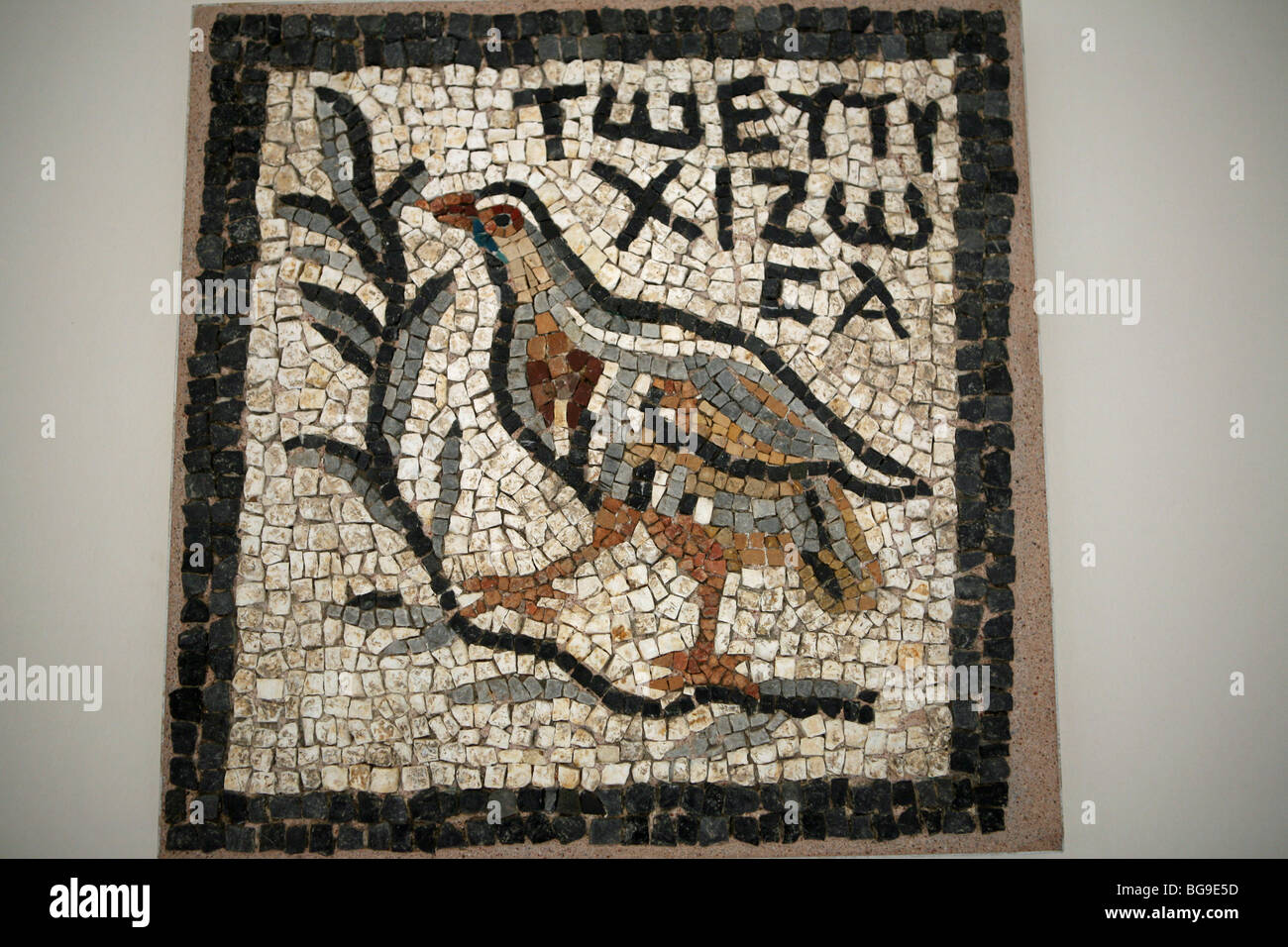 Mosaic - bird on branch from Ancient Dion Greece Stock Photo - Alamy