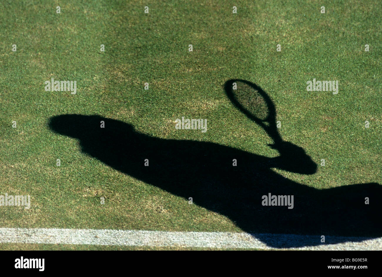 Shadow of a tennis player on a grass court Stock Photo - Alamy