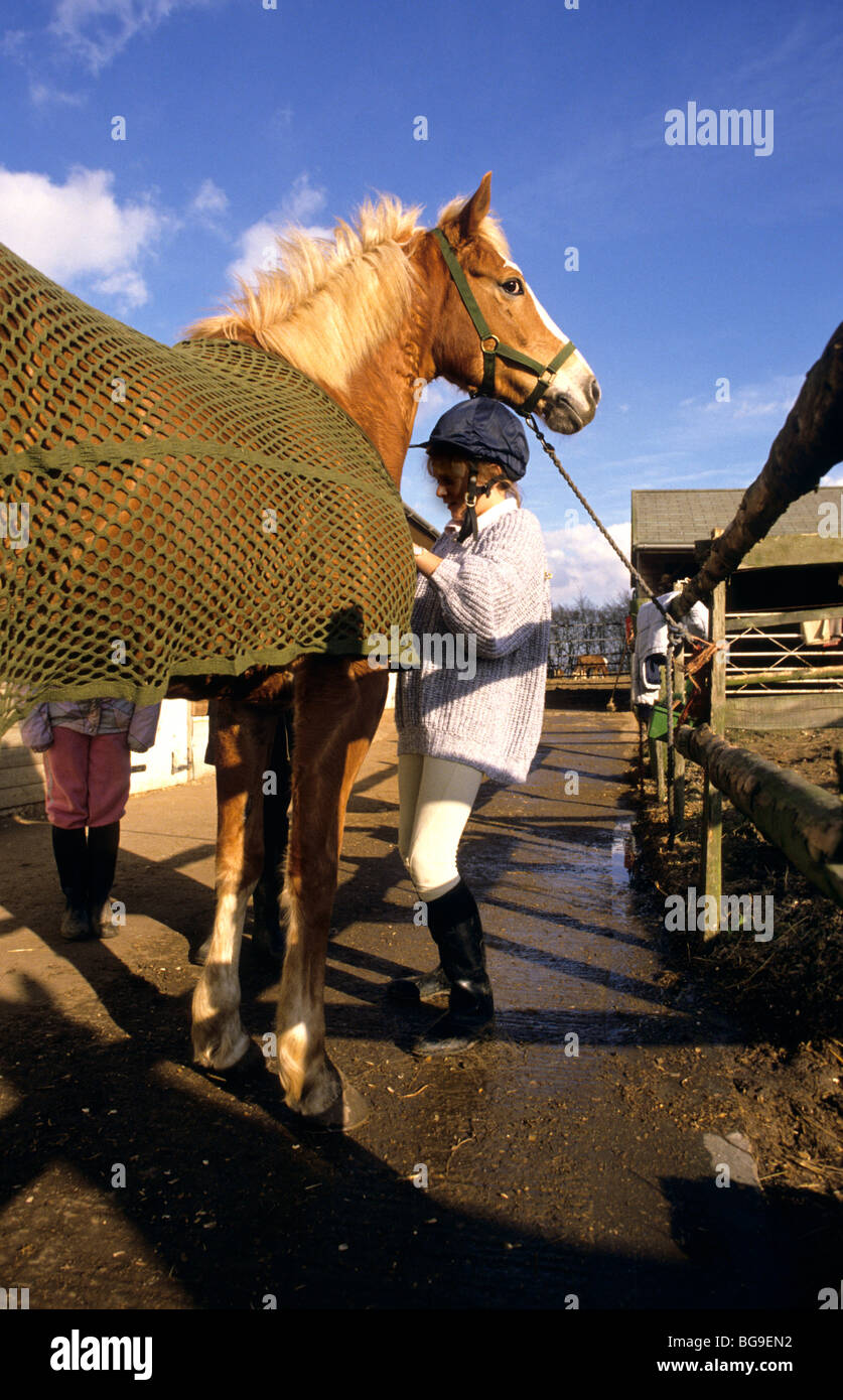 Stable hand tends to a horse Stock Photo - Alamy