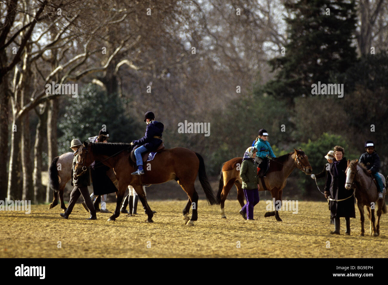 Children taking horse riding lessons Stock Photo - Alamy