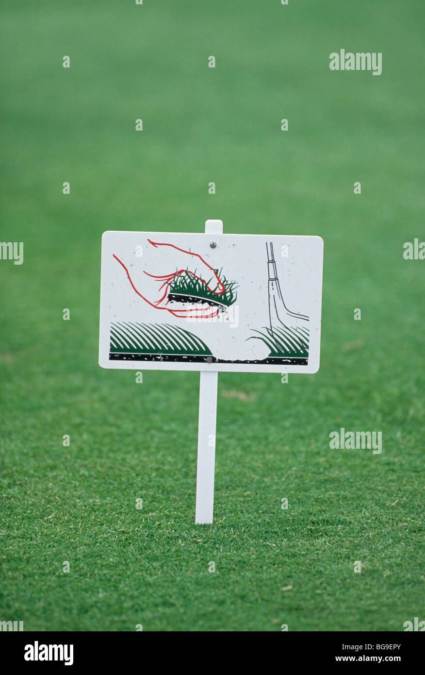 Replace your divots sign on a golf course Stock Photo - Alamy