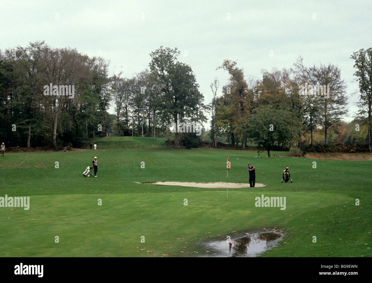 Golfers on a golf course Stock Photo - Alamy
