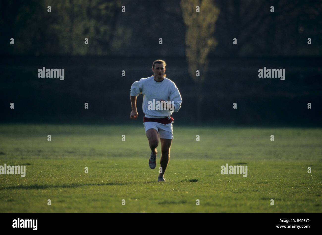 Path across field hi-res stock photography and images - Alamy