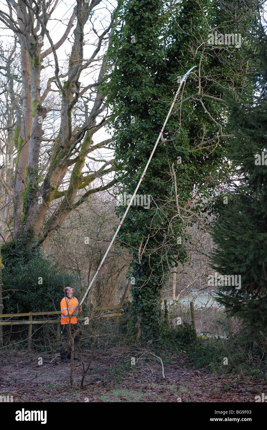 Extension pruning saw hi-res stock photography and images - Alamy