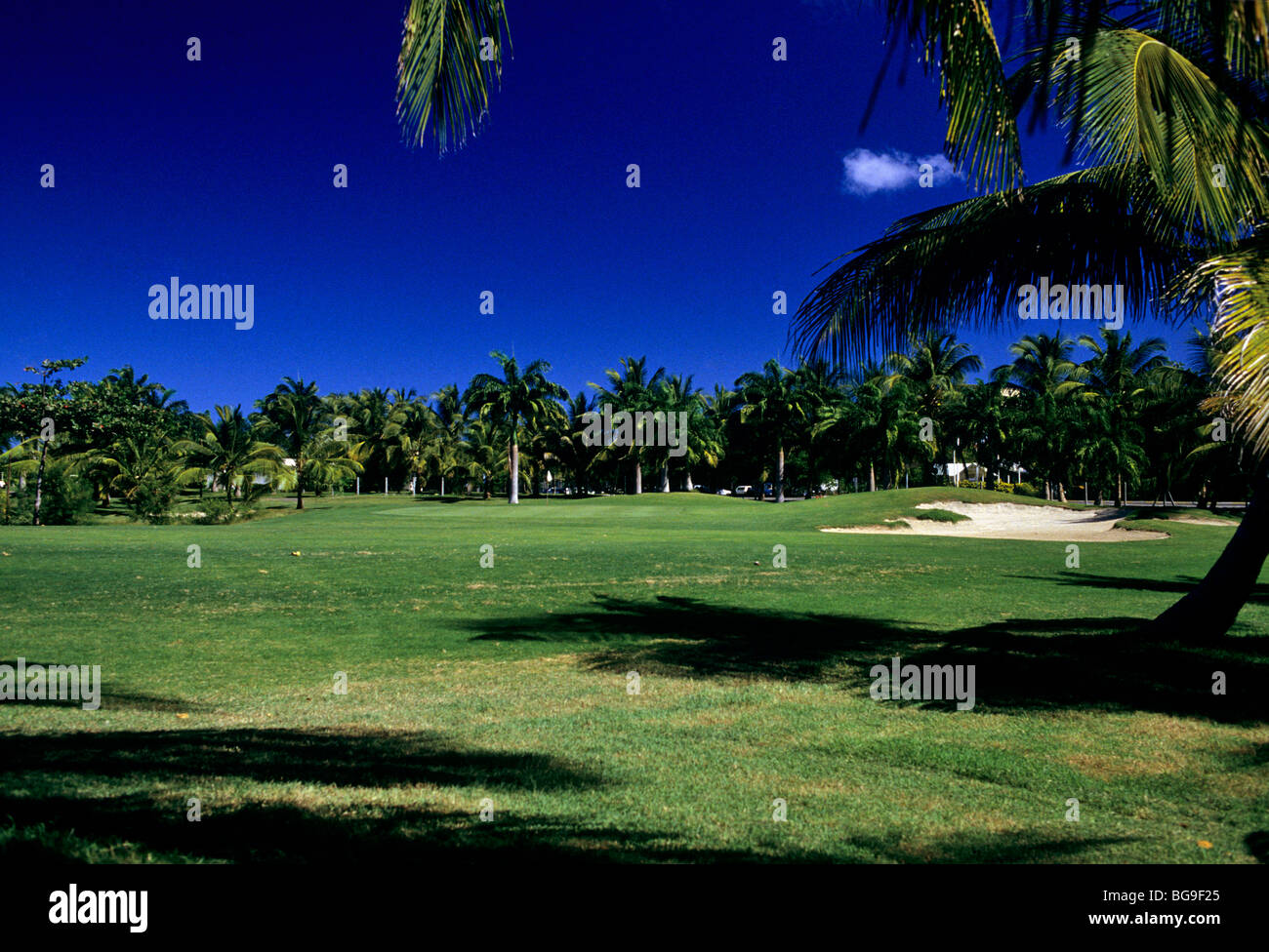 Tropical golf fairway Stock Photo - Alamy