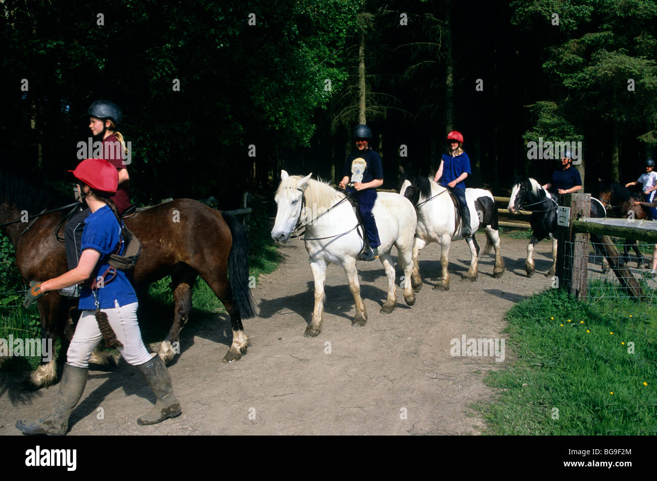 Group of horse riders on a trail Stock Photo - Alamy