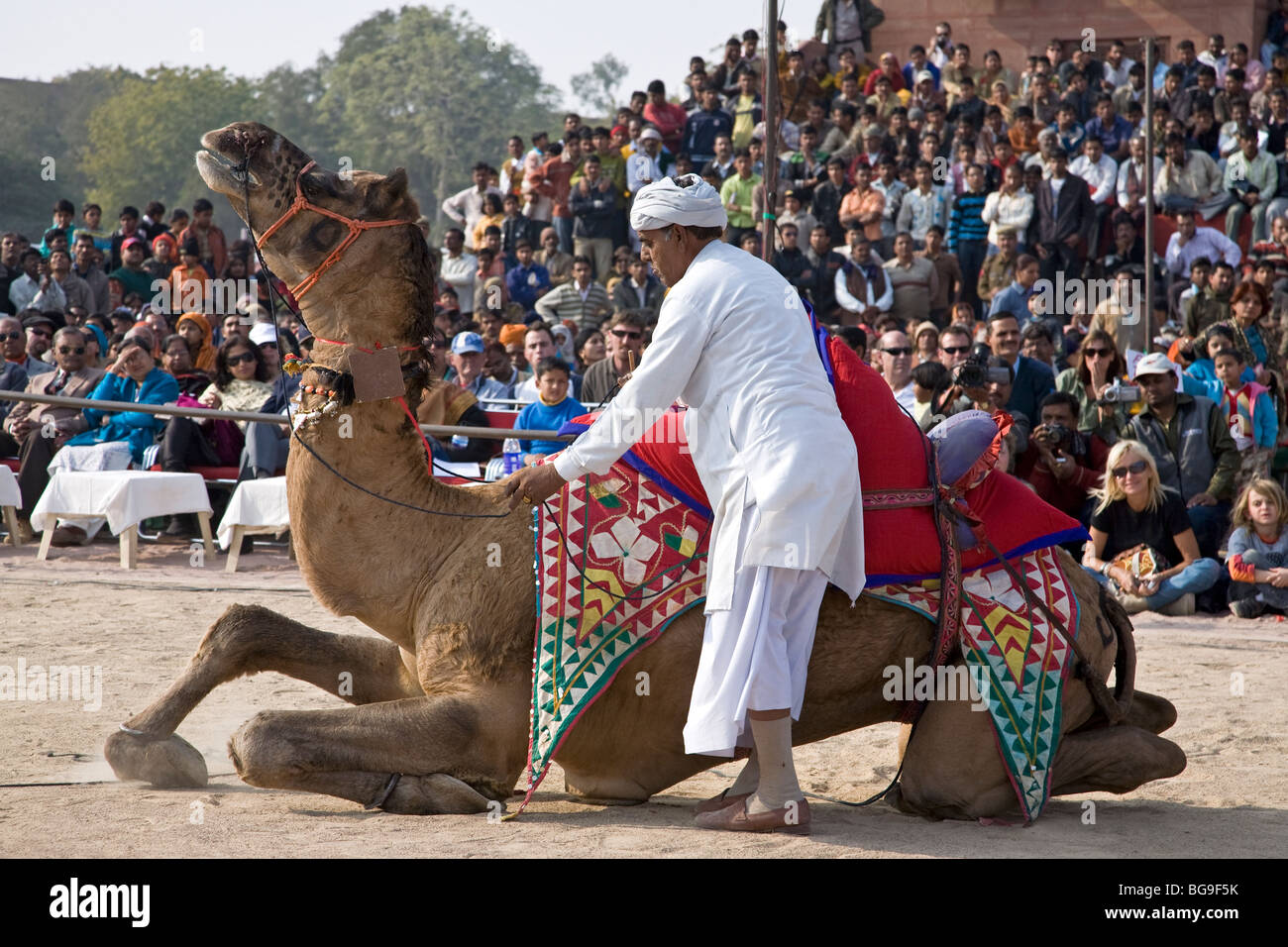 Bikaner Camel Festival. Rajasthan. India Stock Photo - Alamy