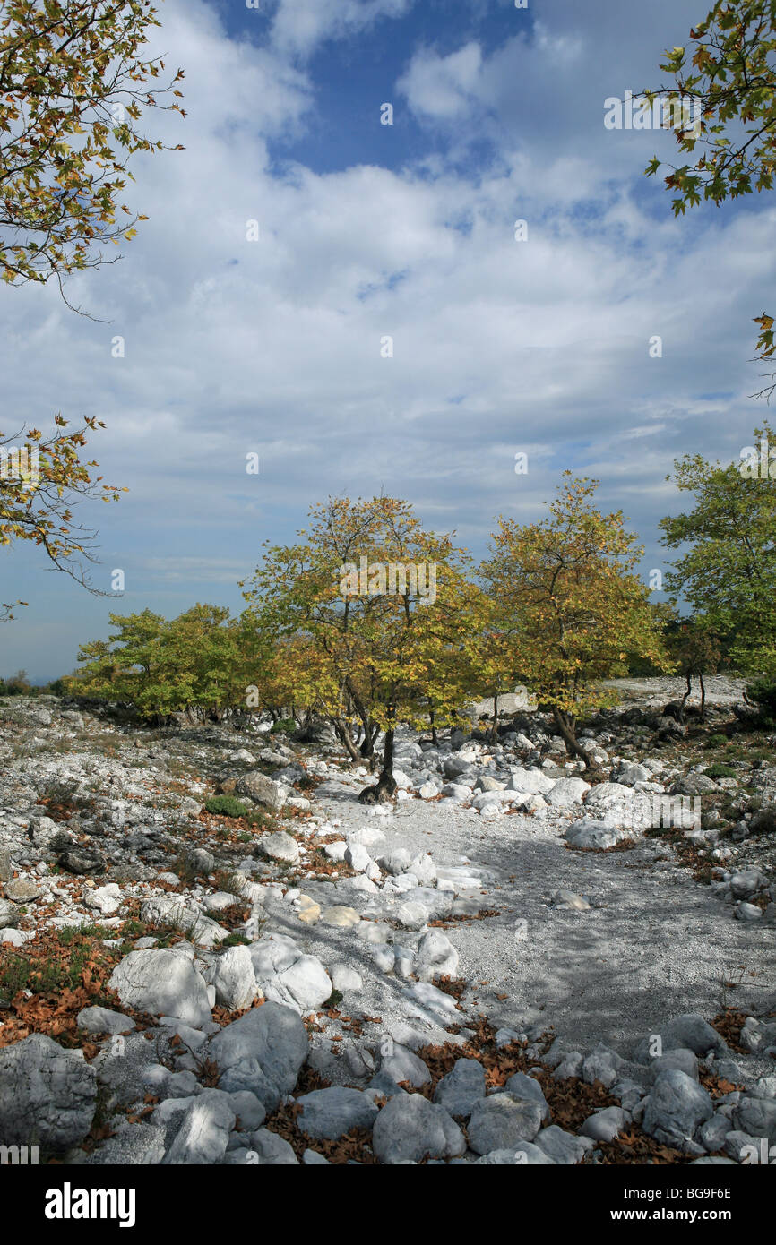 A dried up river bed on the side of Mount Olympus Greece Stock Photo ...