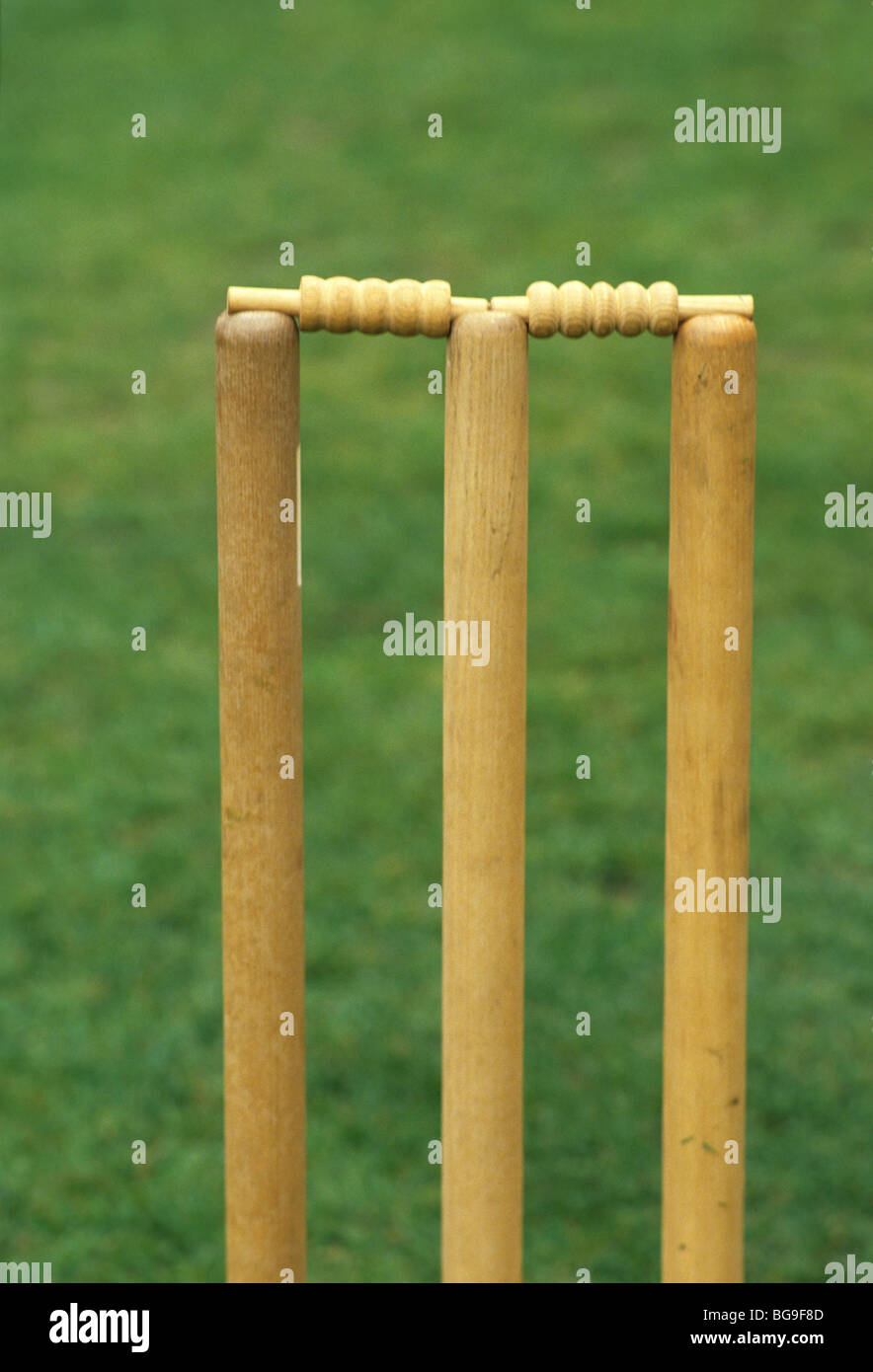 Cricket Wicket Bails