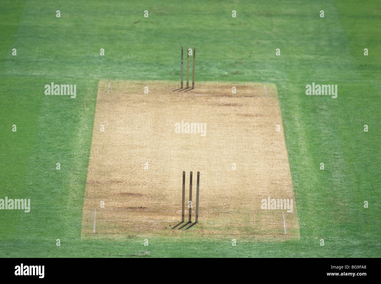 Two stumps hi-res stock photography and images - Alamy