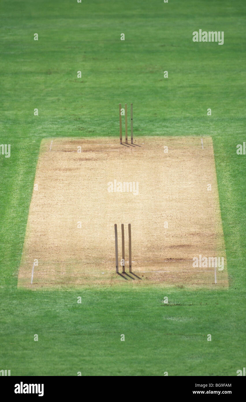 Two stumps hi-res stock photography and images - Alamy