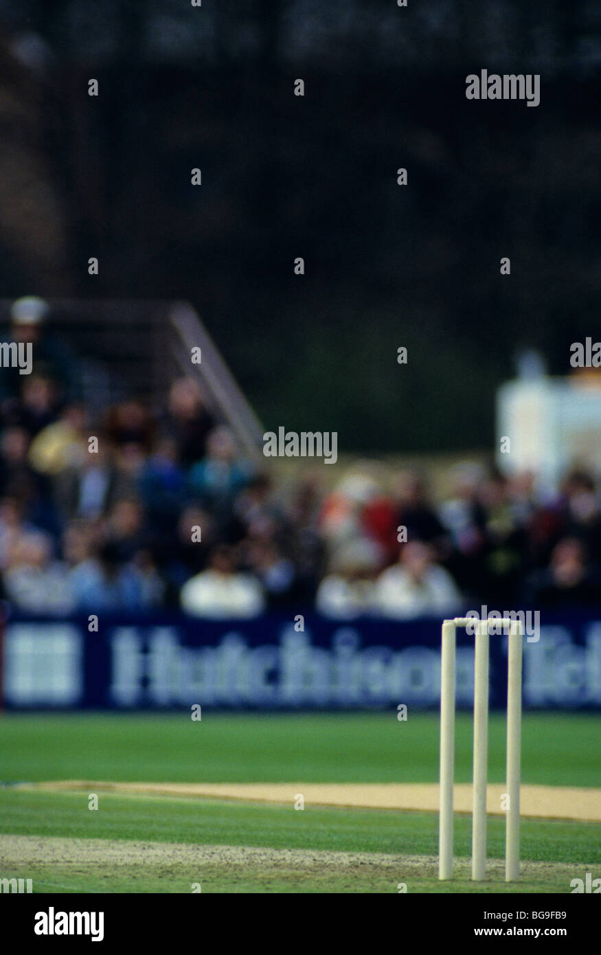 Cricket spectators crowd hi-res stock photography and images - Alamy