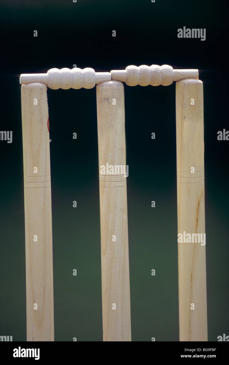 Cricket stumps close up hi-res stock photography and images - Alamy