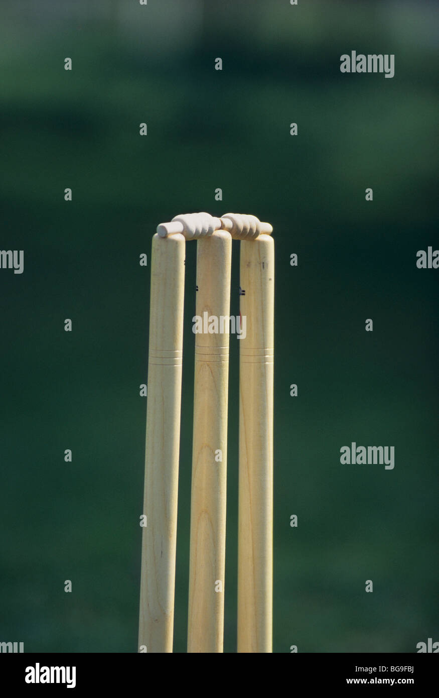 Close up of a cricket wicket with stumps and bails Stock Photo - Alamy
